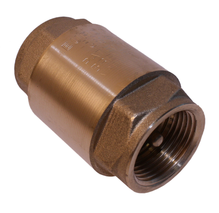 Check Valves | Asmuss